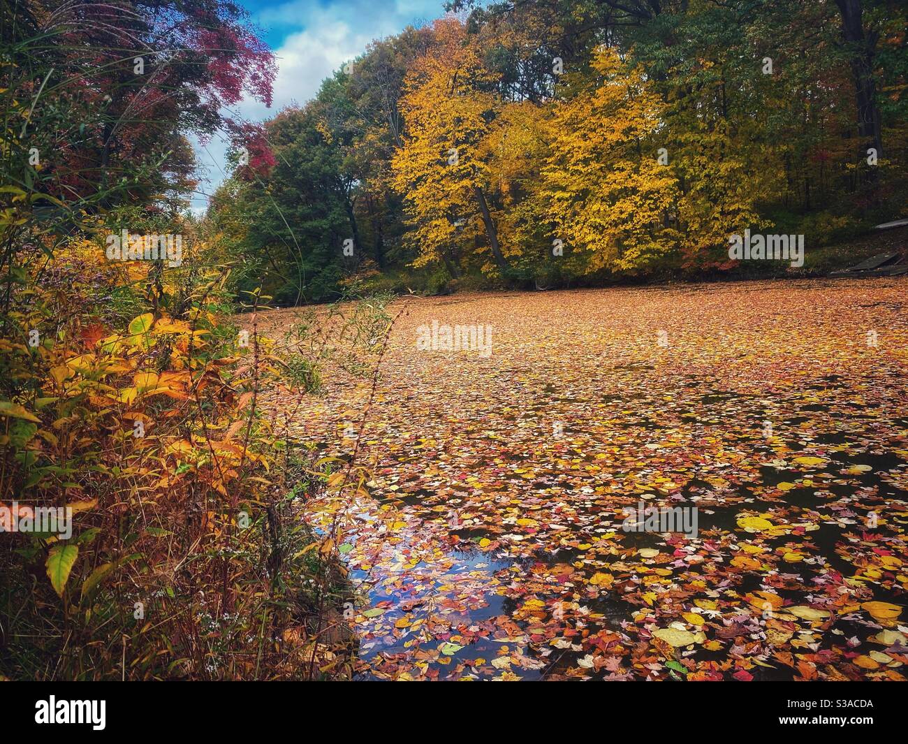 Floating creek hi-res stock photography and images - Alamy