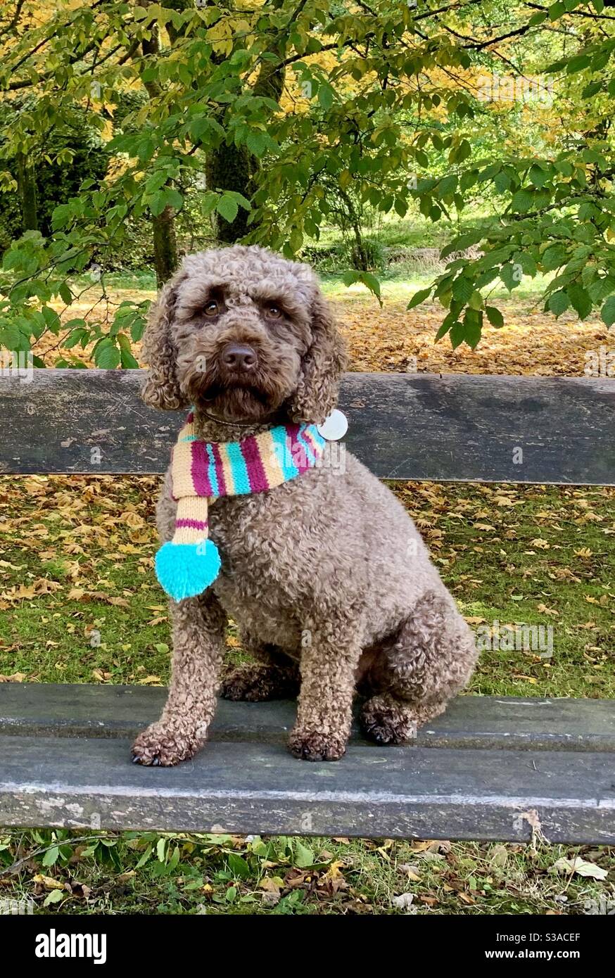 Well wrapped hi-res stock photography and images - Alamy