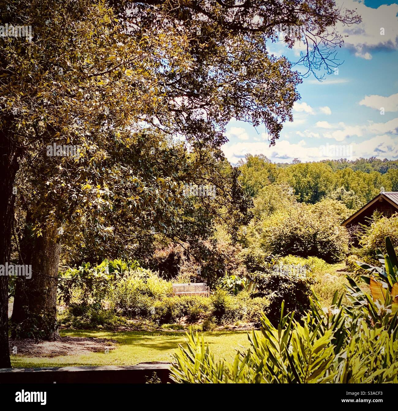 Country scenery hi-res stock photography and images - Alamy