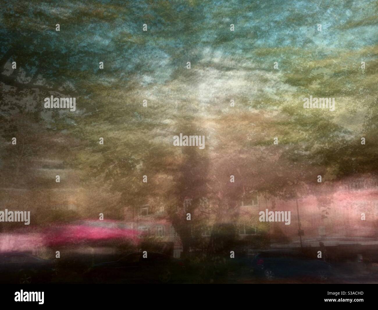 Colourful Abstract landscape showing blur and texture. Intentional ...