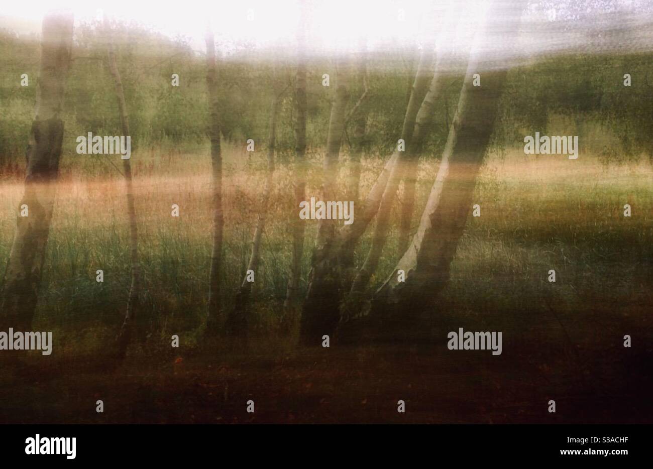 Colour abstract landscape using intentional camera movement showing ...