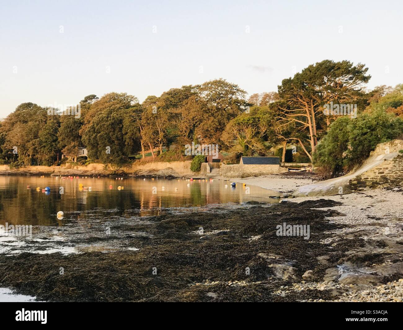 Loe Beach in the morning light Stock Photo - Alamy