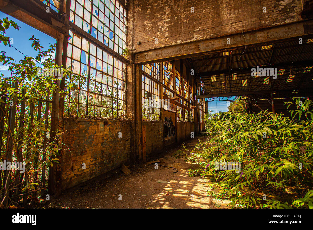 Derelict abandoned factory hi-res stock photography and images - Alamy