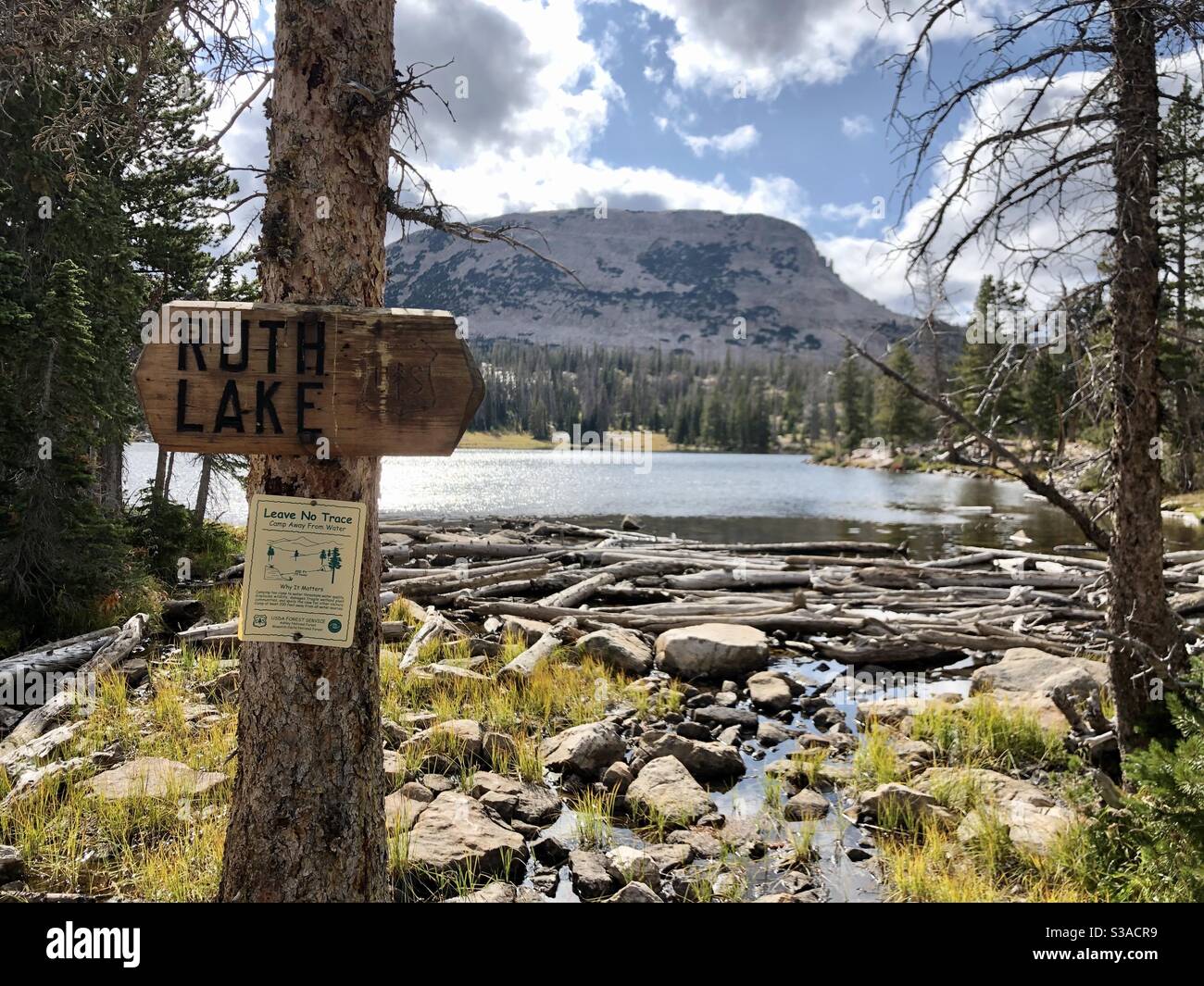 Ruth Lake High Resolution Stock Photography and Images - Alamy