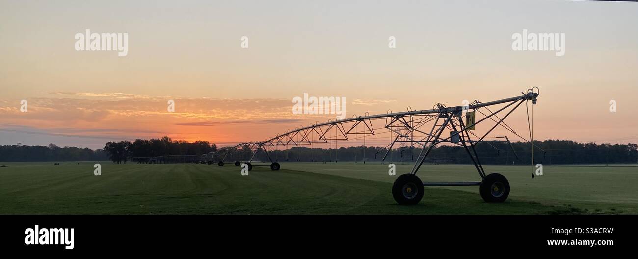 Sunrise over Farm Stock Photo - Alamy