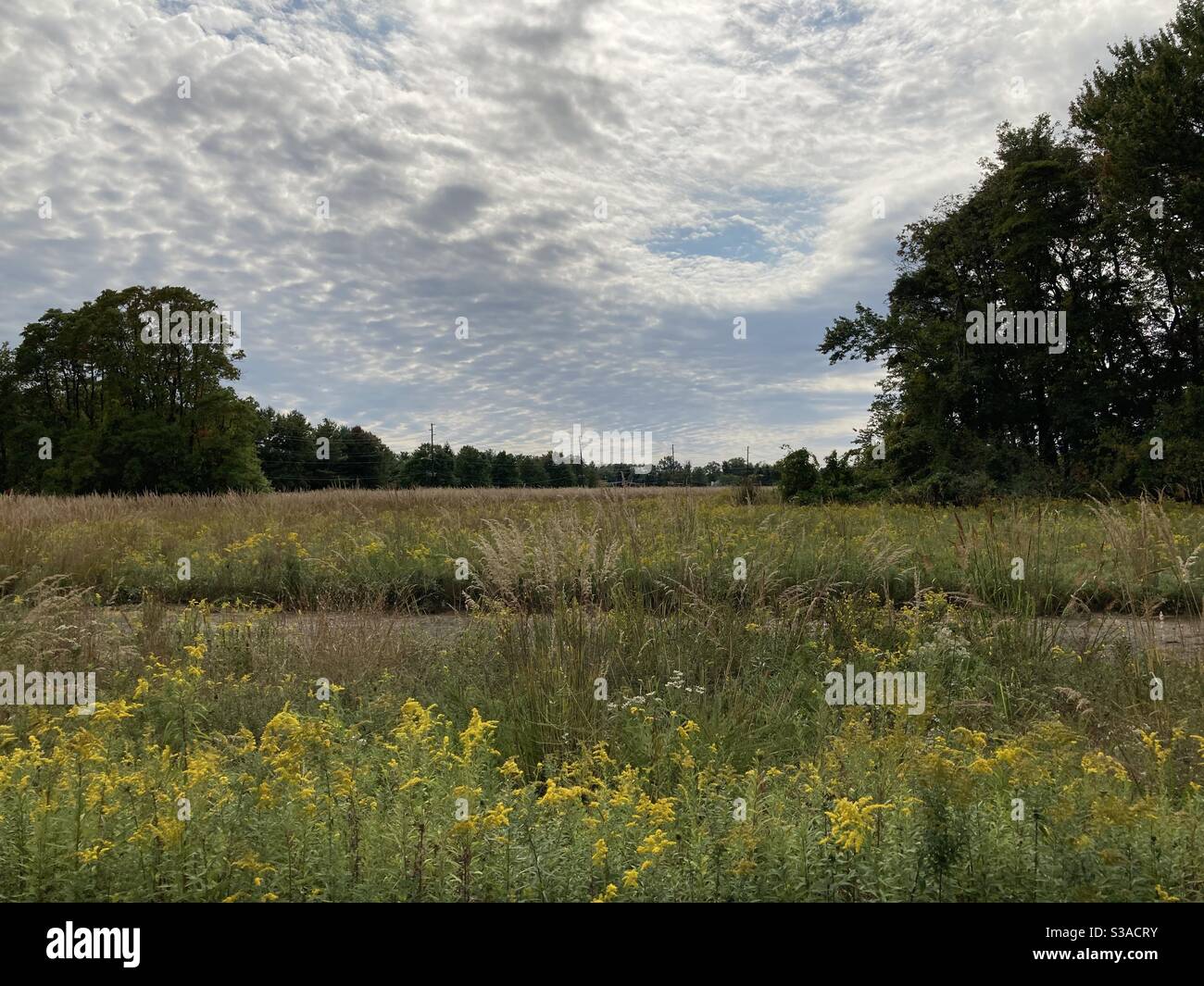 Lawrenceville hi-res stock photography and images - Alamy