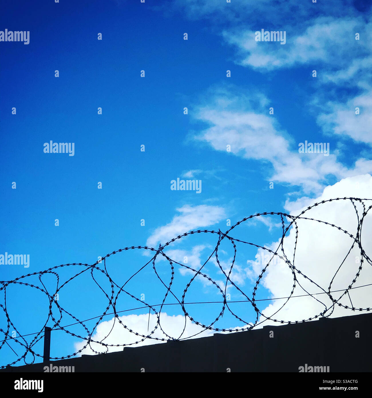 Barbed wire entanglement hi-res stock photography and images - Alamy