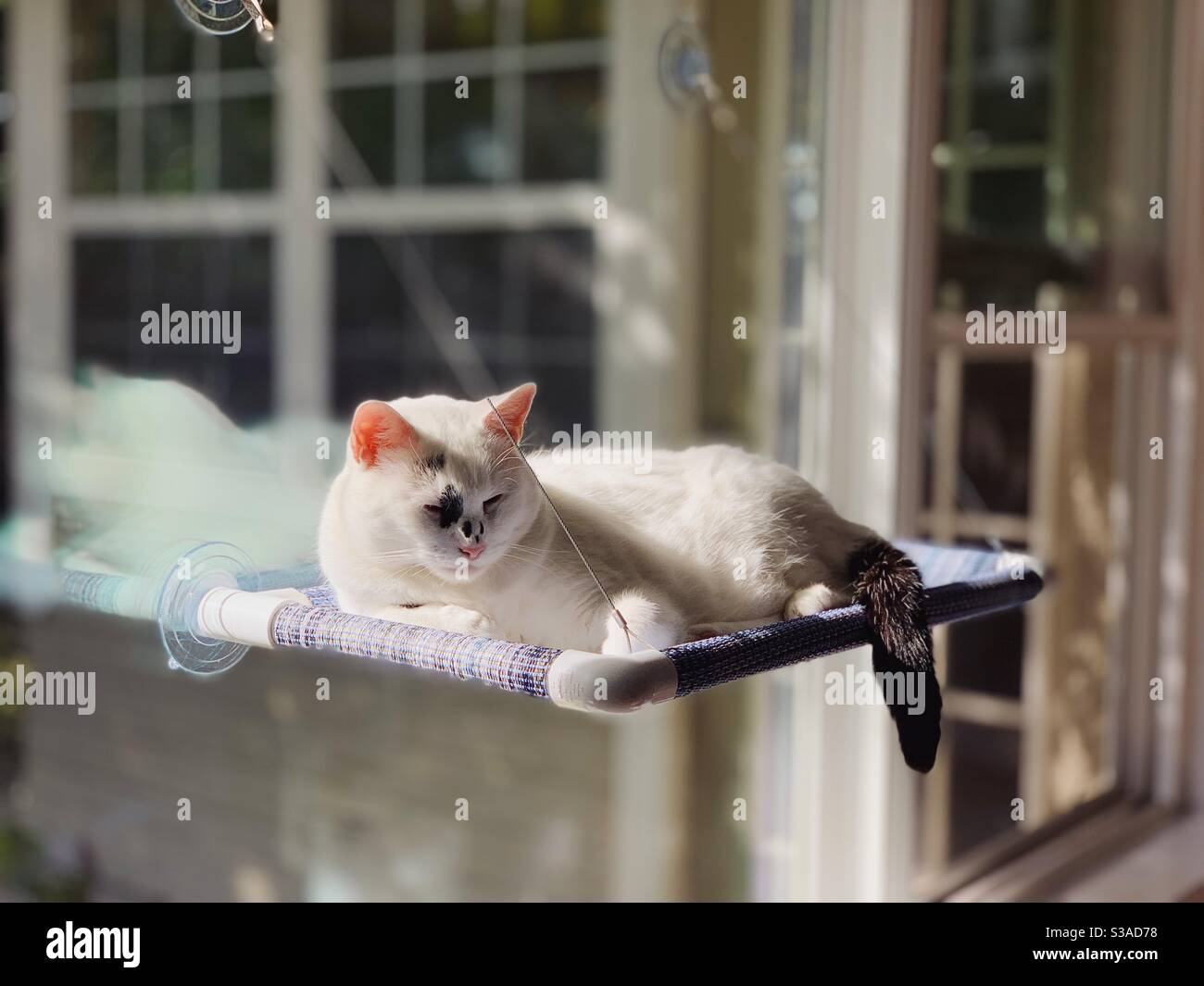 Stuck window hi-res stock photography and images - Alamy