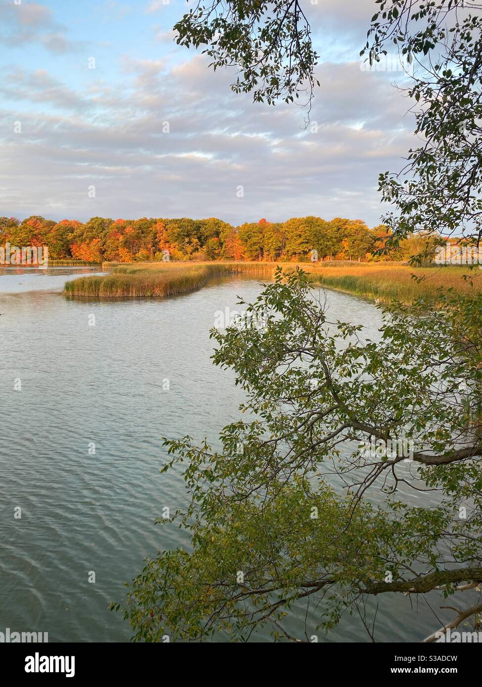 Marsh colour hi-res stock photography and images - Alamy