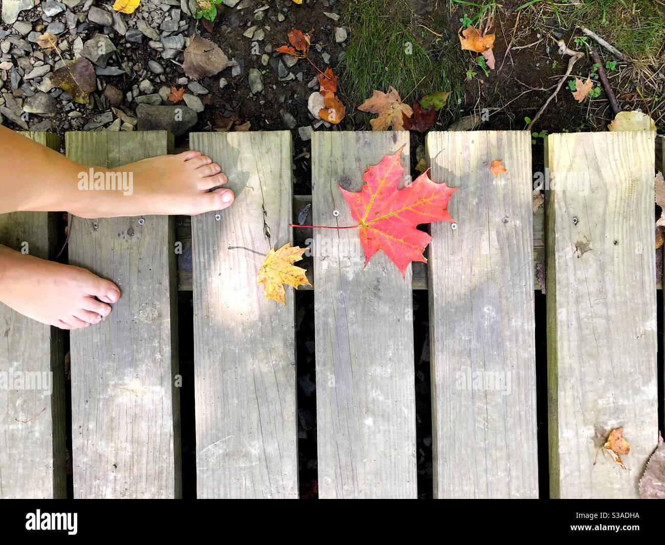 Woman walking barefoot across bridge on a warm fall day Stock Photo - Alamy