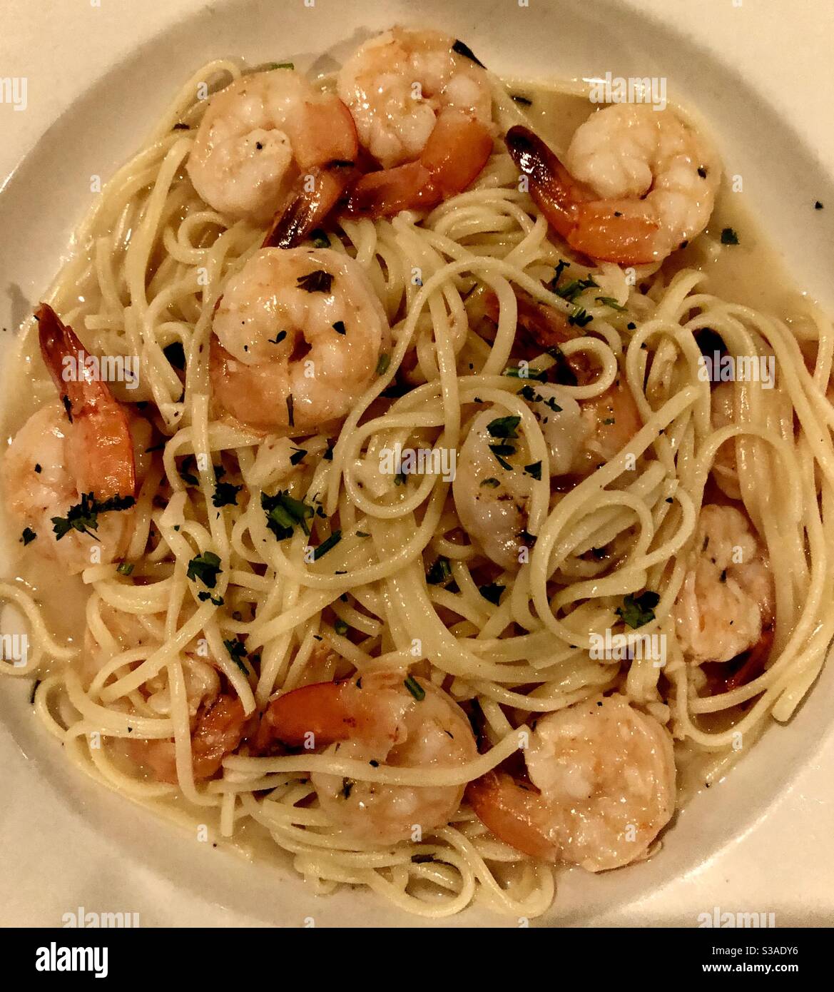 Overview of a dinner plate of shrimp scampi Stock Photo - Alamy