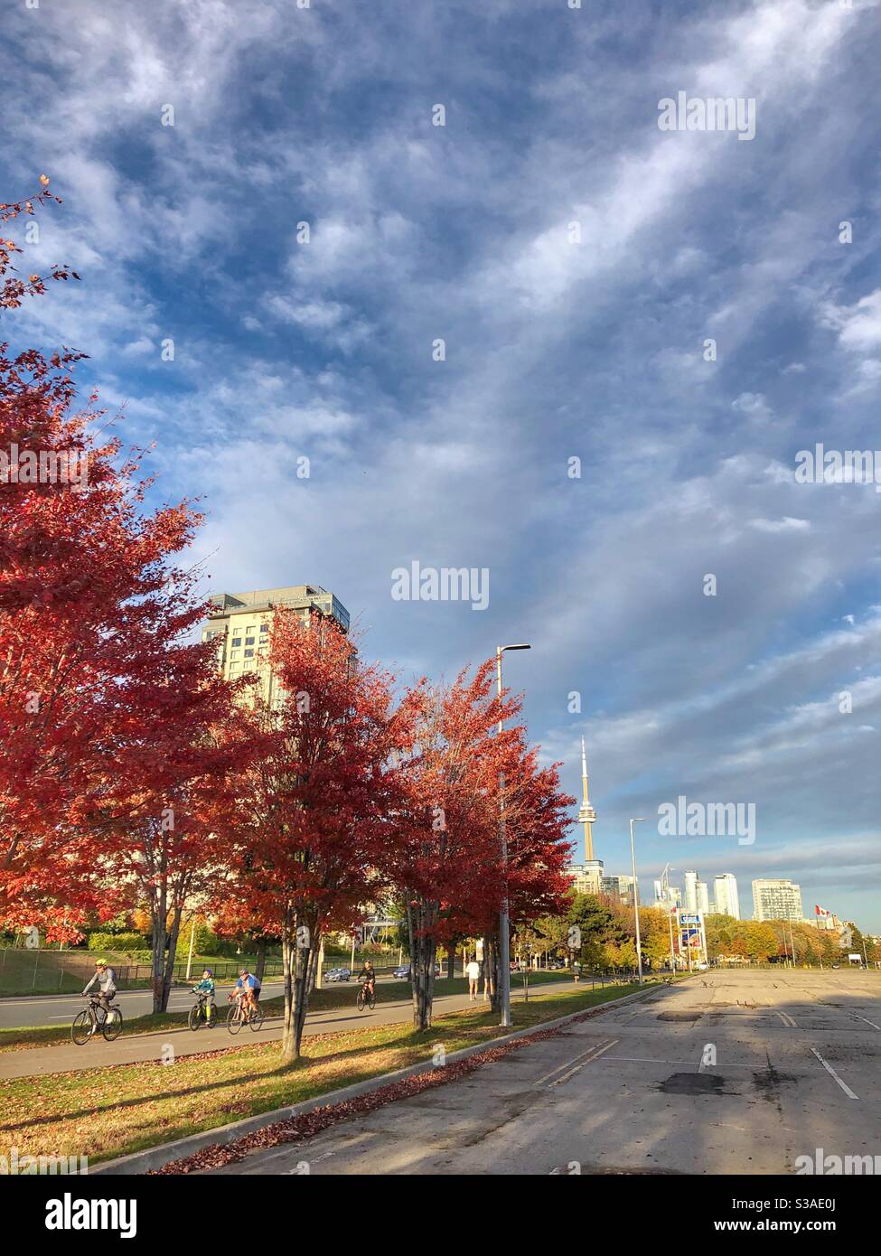 Autumn colours in Toronto, Canada Stock Photo - Alamy