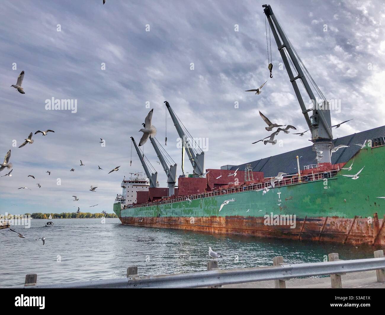 Cargo of sugar hi-res stock photography and images - Alamy
