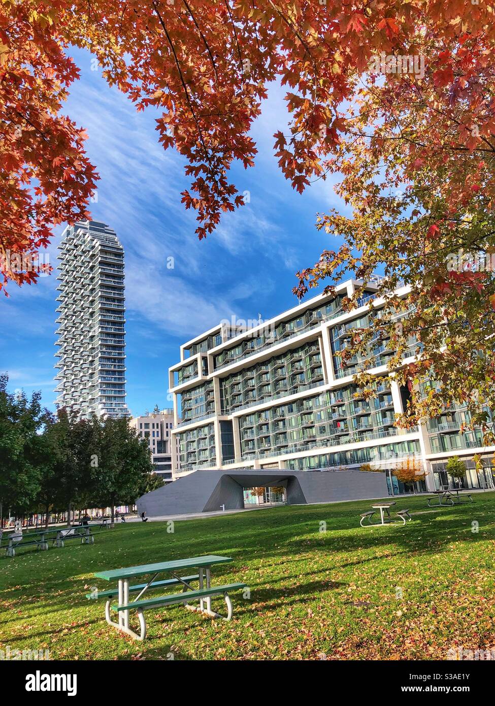 A Toronto neighbourhood in the fall Stock Photo - Alamy