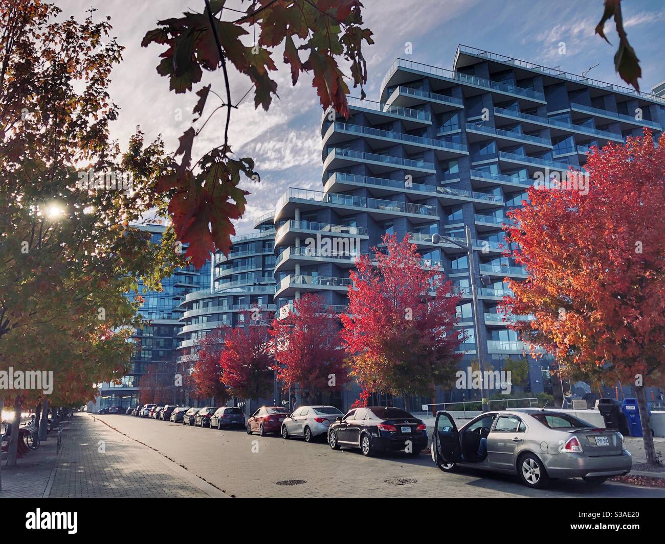 A Toronto neighbourhood in the fall Stock Photo - Alamy