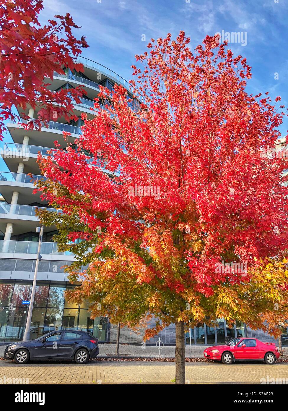 Vibrant toronto neighbourhood hi-res stock photography and images - Alamy