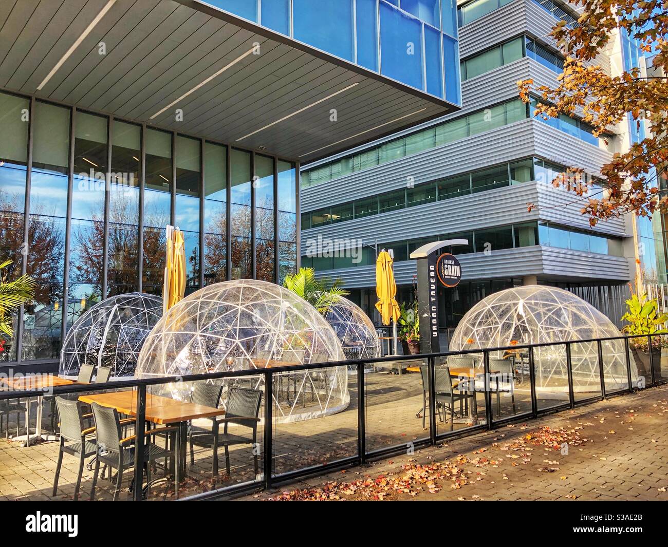 Plastic bubbles set up on an outdoor patio in a Toronto neighbourhood ...