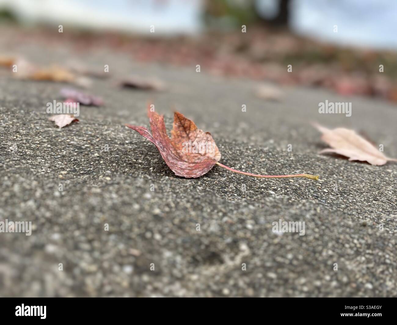 Sidewalk walk hi-res stock photography and images - Alamy