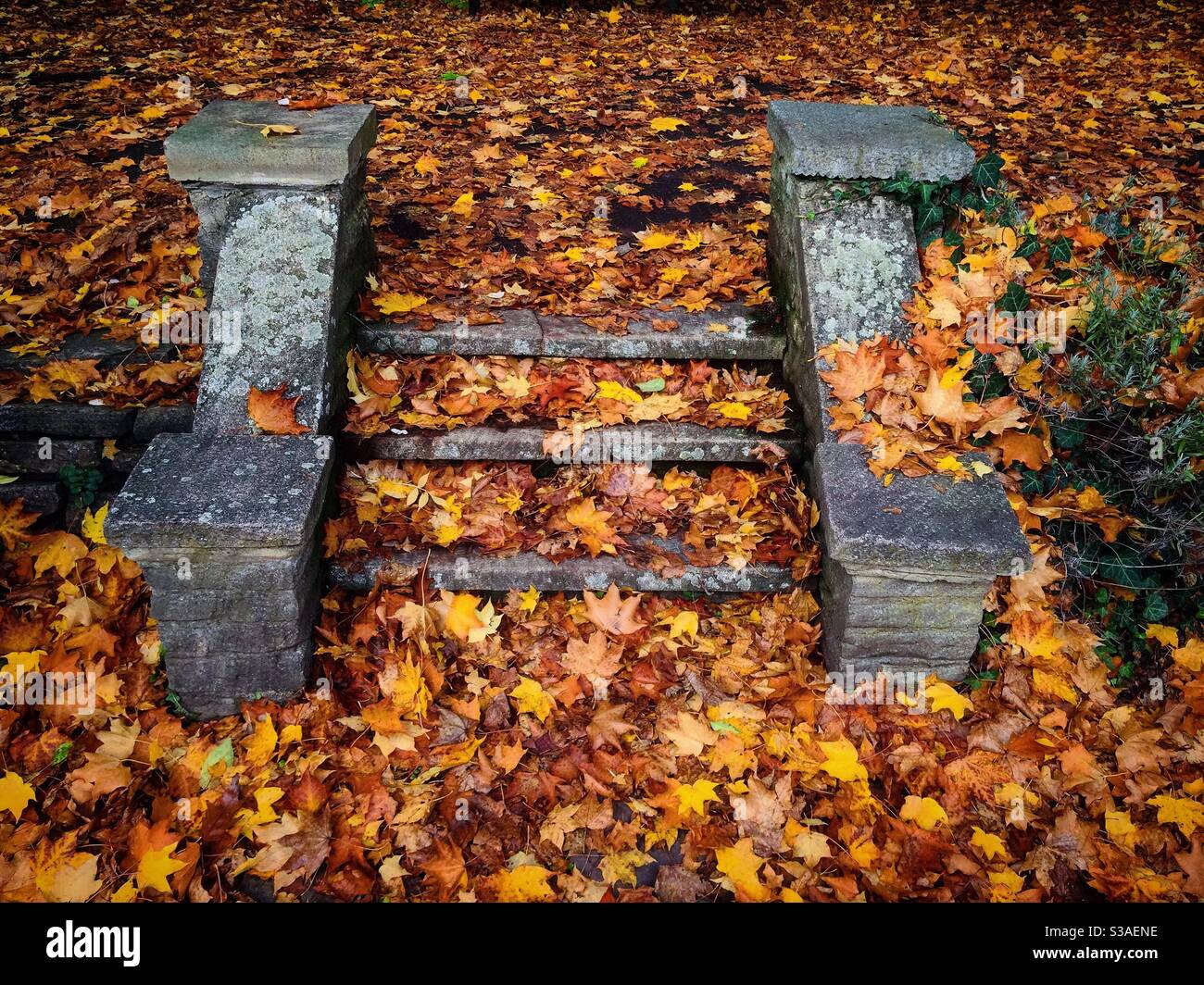 Leaves covering steps hi-res stock photography and images - Alamy