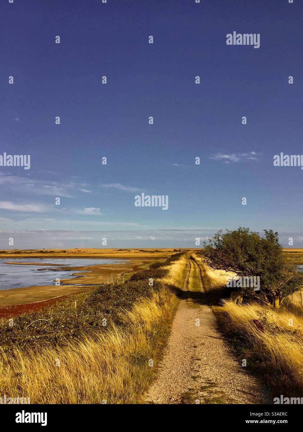 Long grass country track hi-res stock photography and images - Alamy