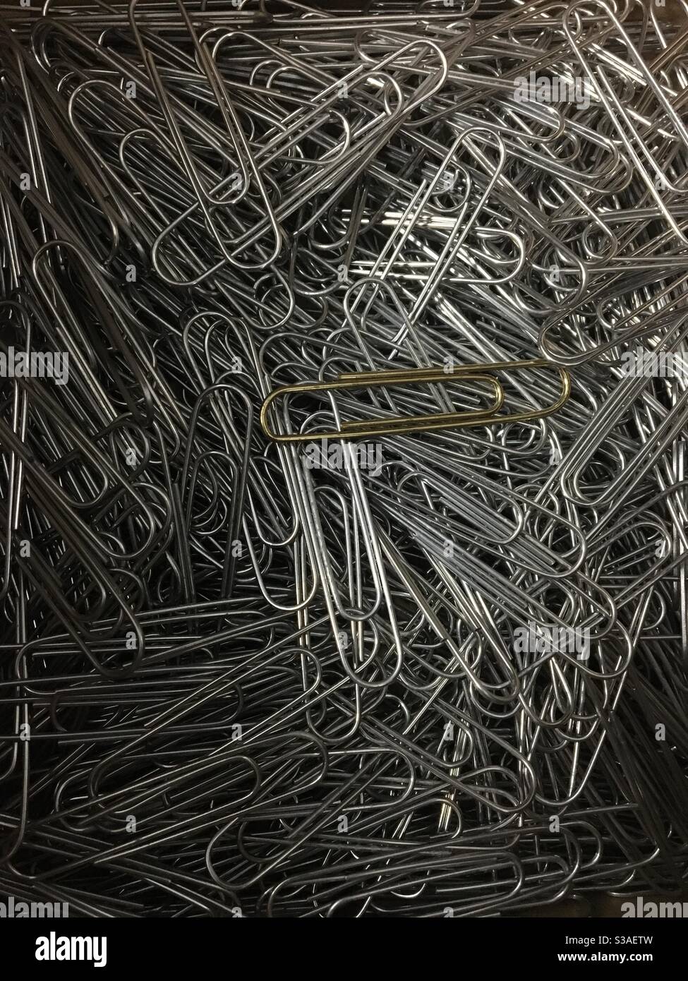 Silver paper clips with one gold on top Stock Photo - Alamy