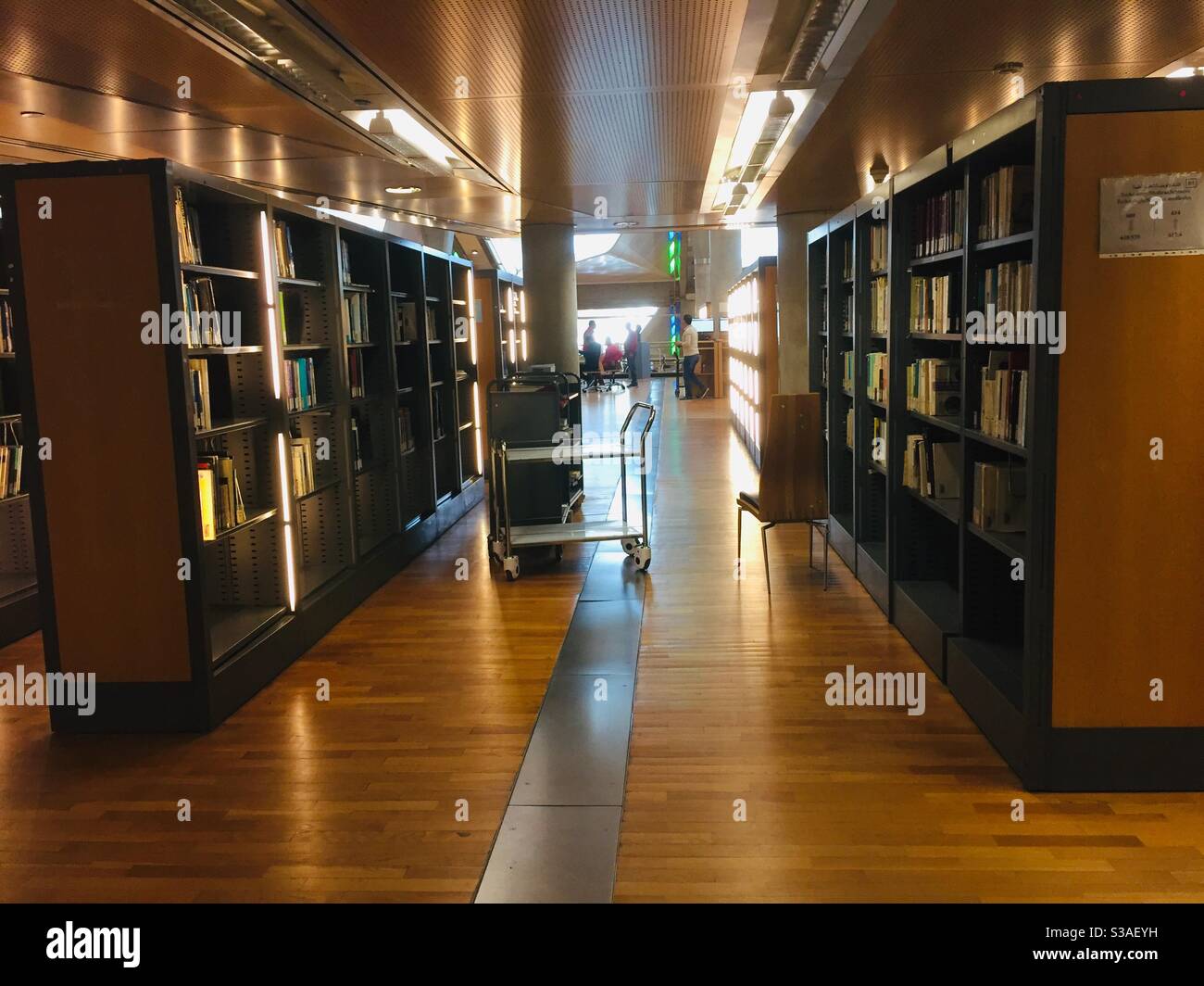 Reading culture hi-res stock photography and images - Alamy