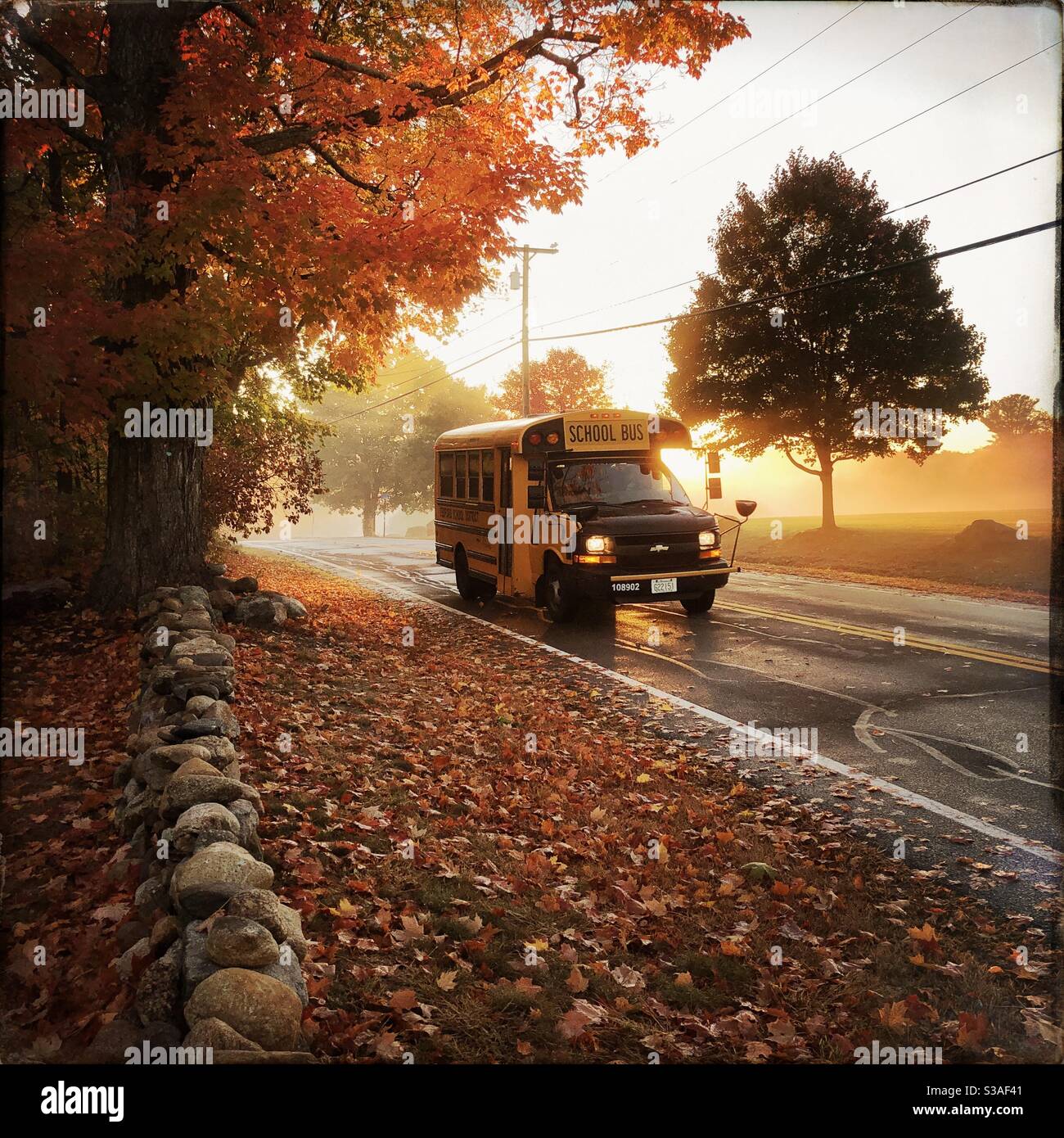 Short bus hi-res stock photography and images - Alamy