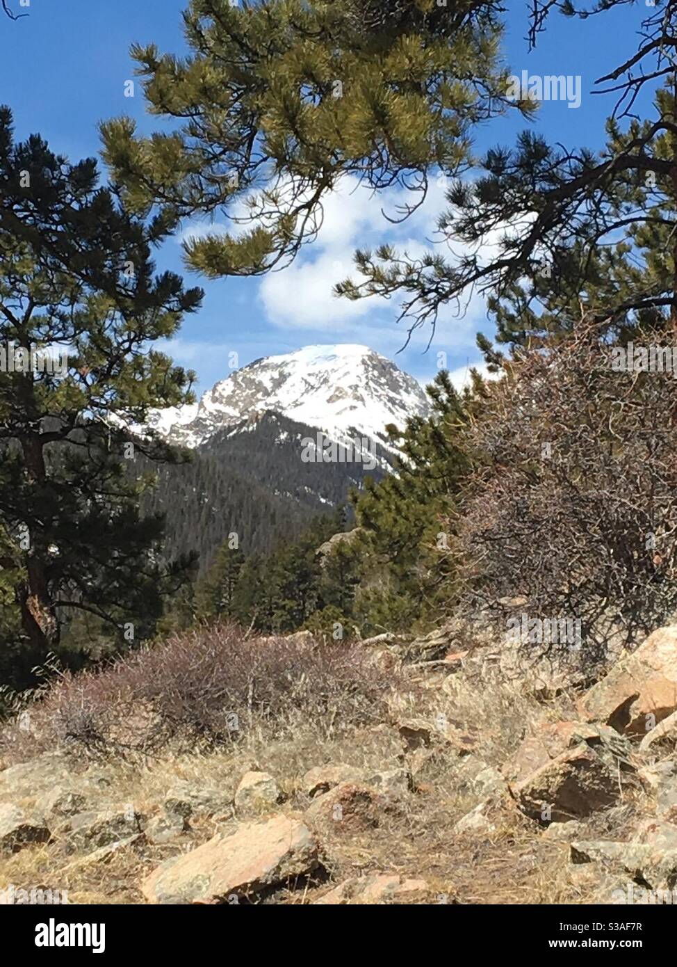 Mountain through trees Stock Photo - Alamy