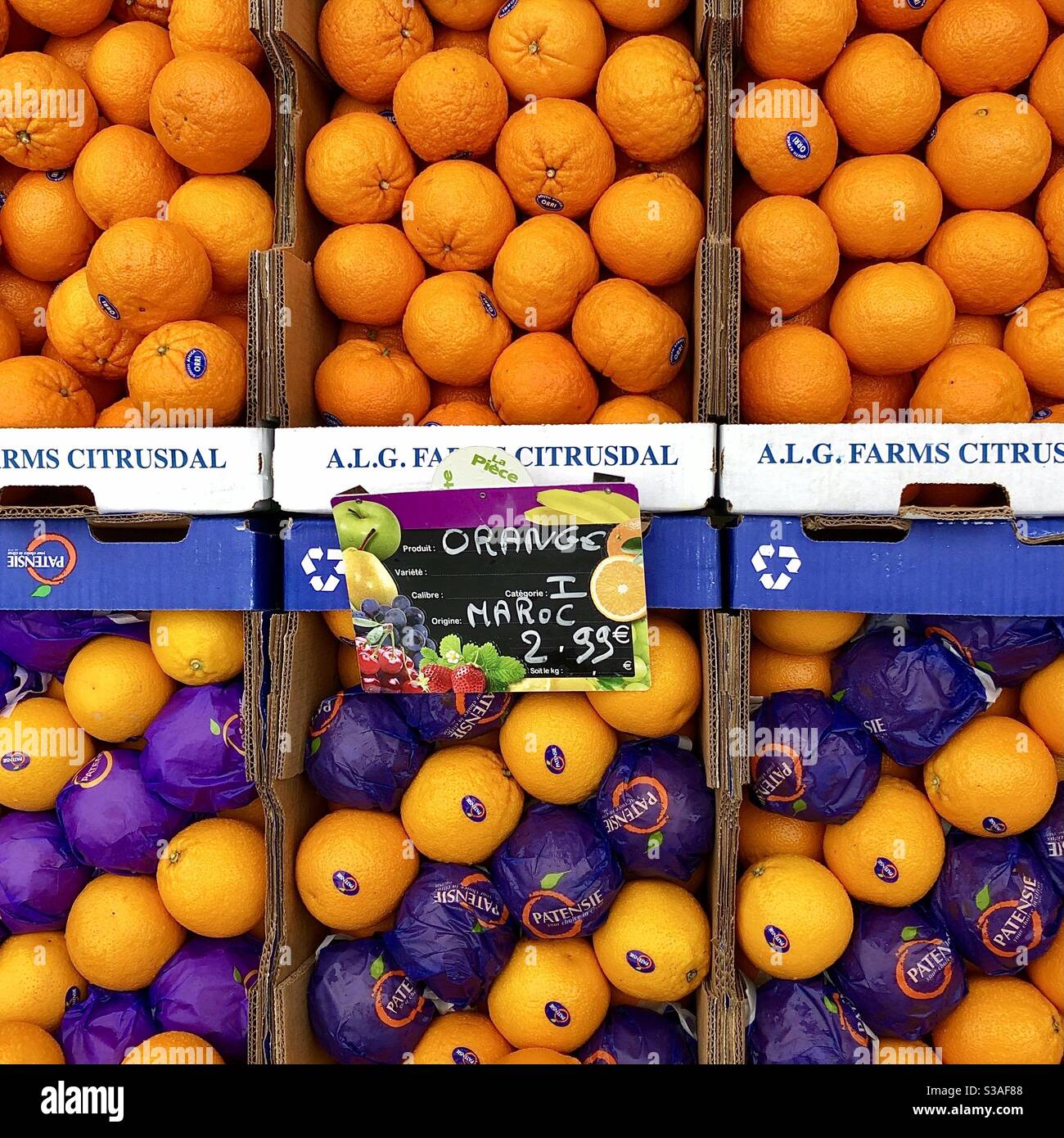 Display of oranges and clementines from Morocco Stock Photo - Alamy