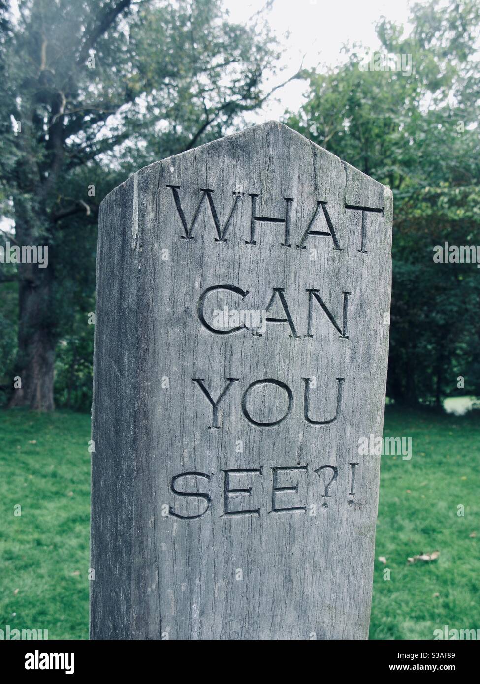 Top of signpost stating “What can you see?” Stock Photo - Alamy