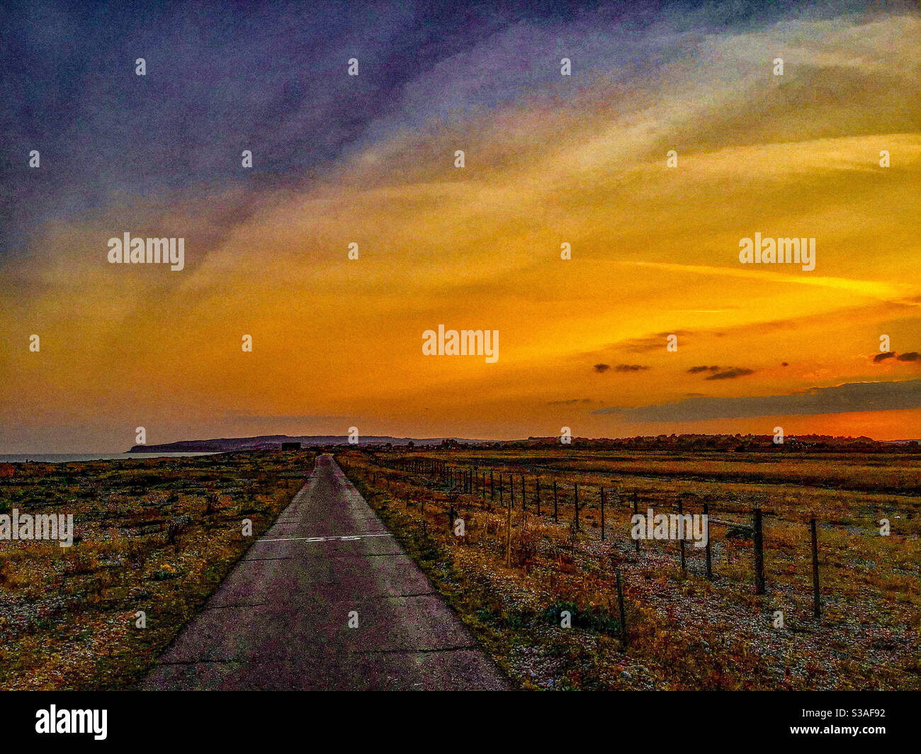 Bracken path hi-res stock photography and images - Alamy