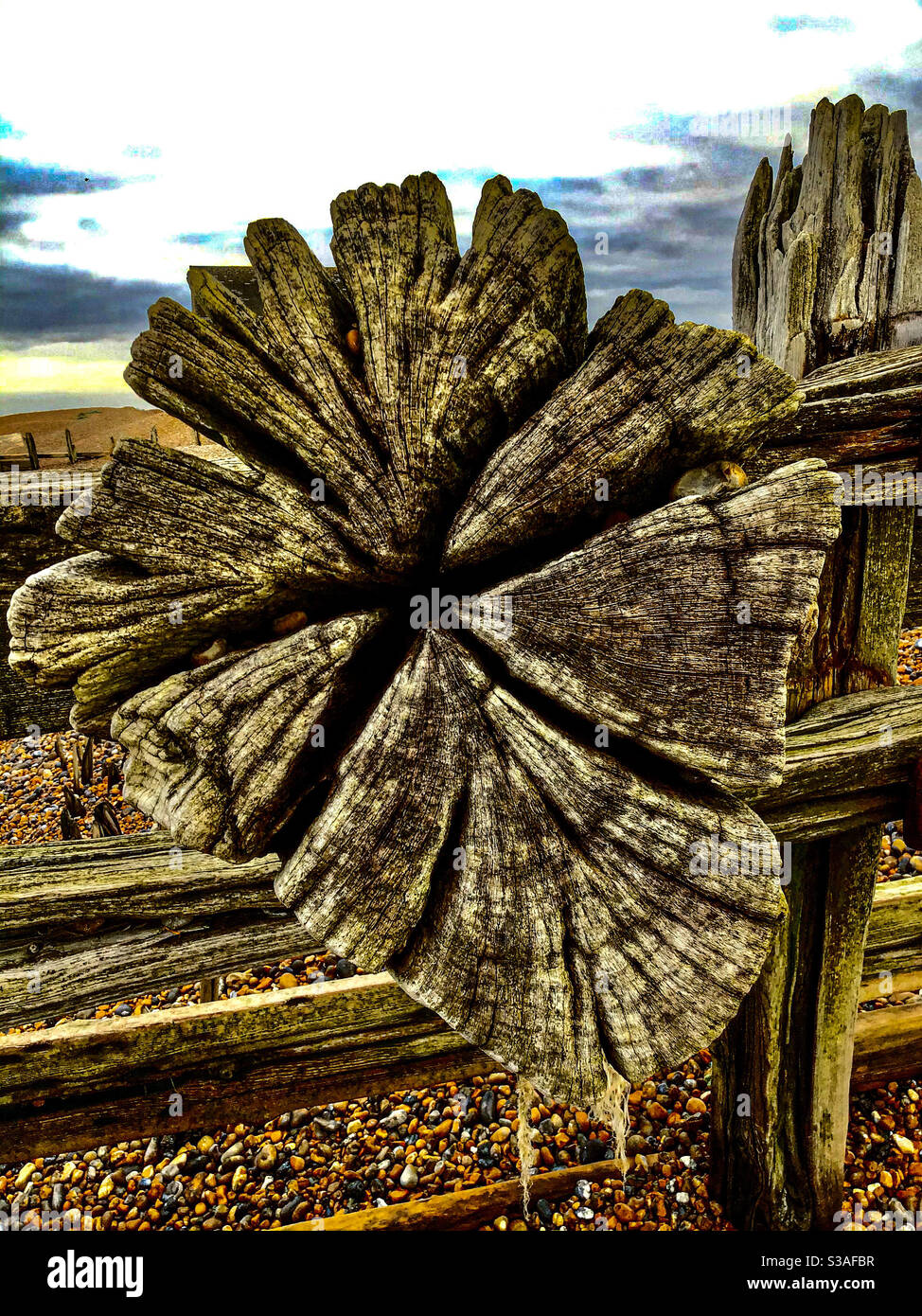 Shingle beach log hi-res stock photography and images - Alamy