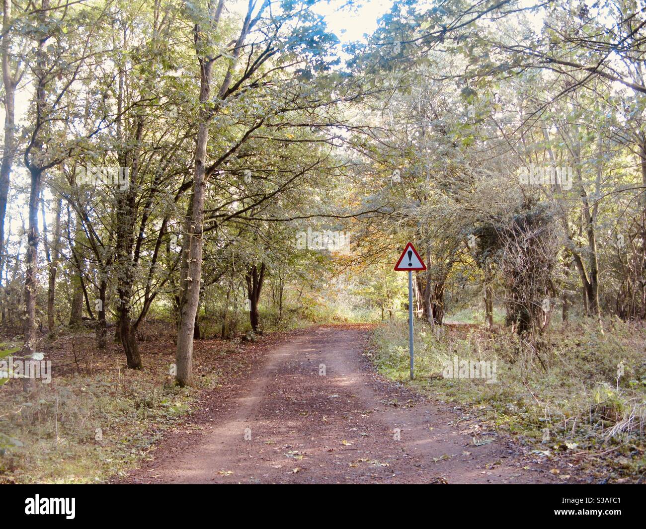 Caution sign along a countryside rod in woodland area. Near Bedford ...