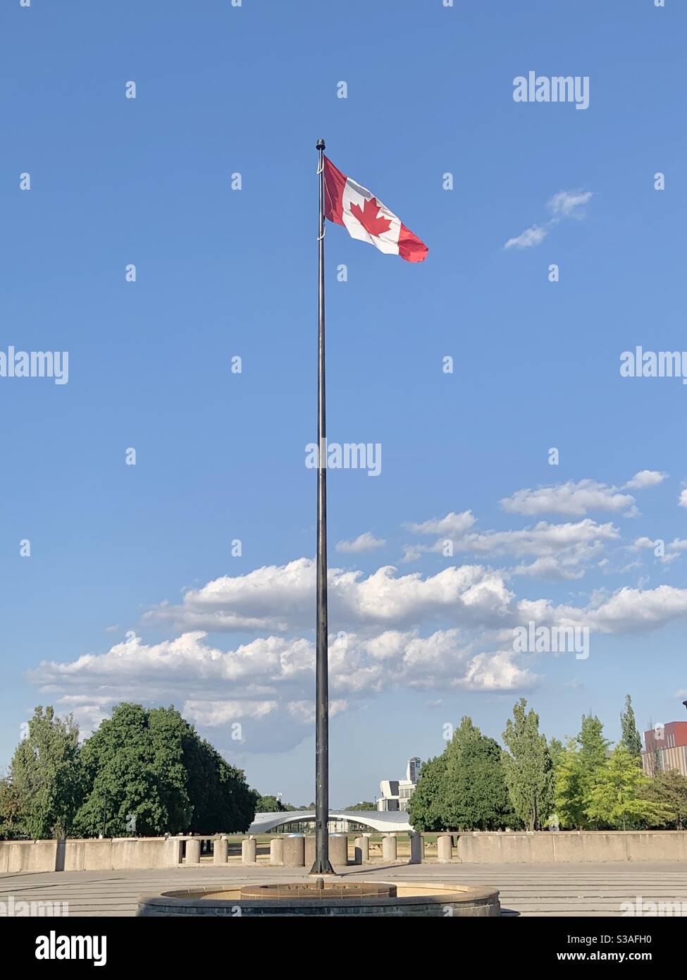 Flag trees hi-res stock photography and images - Alamy