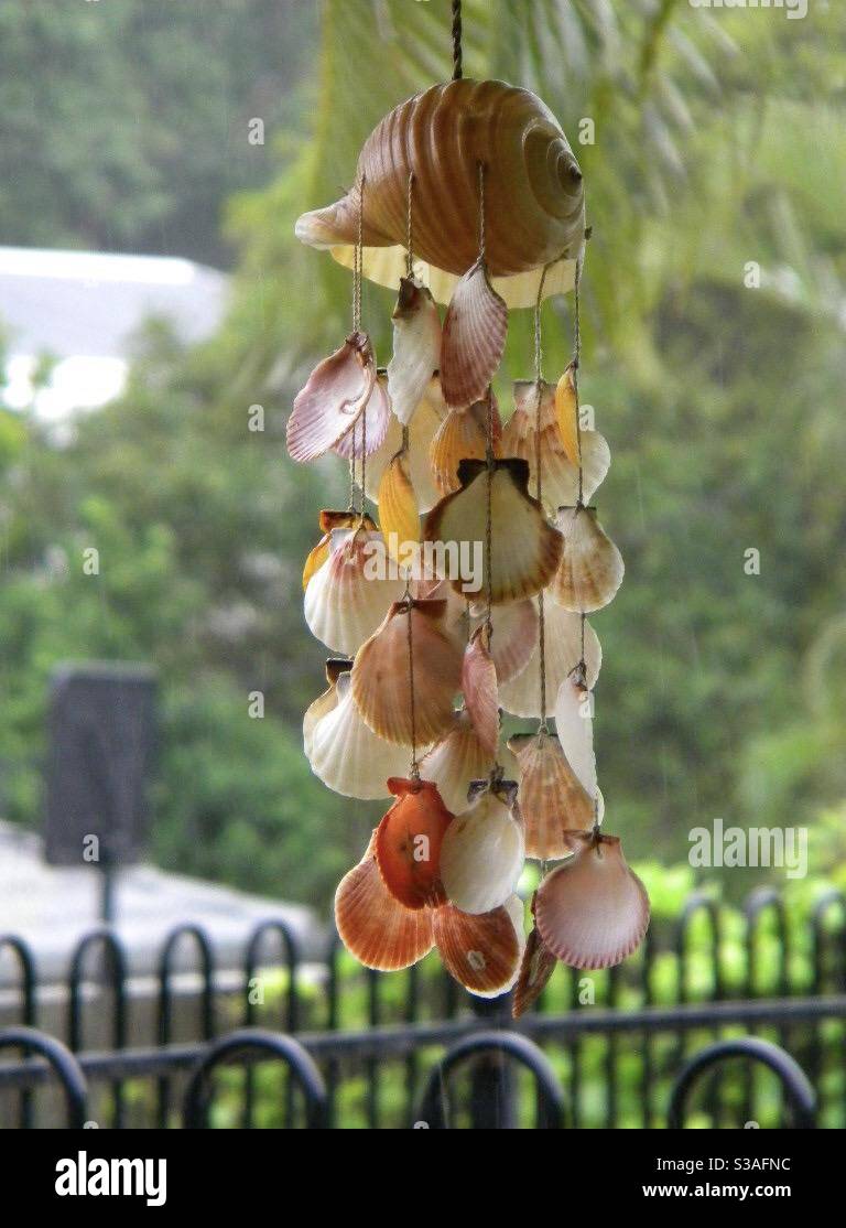 Seashell crafts hi-res stock photography and images - Alamy