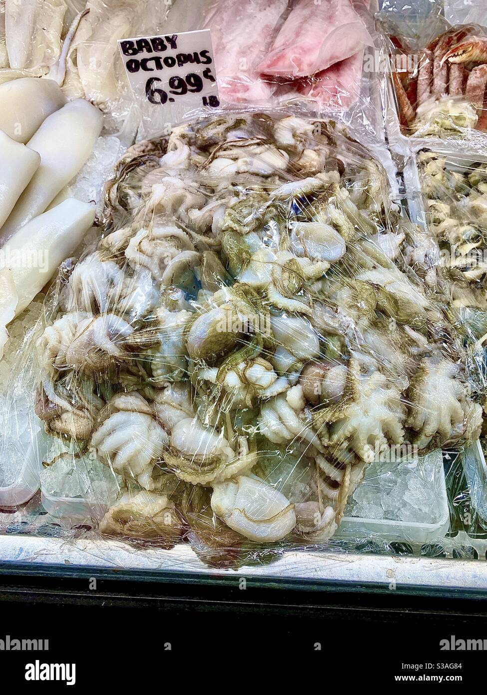 Baby Octopus High Resolution Stock Photography and Images - Alamy