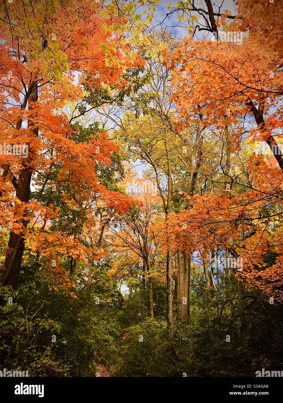 Bursting With Color High Resolution Stock Photography and Images - Alamy