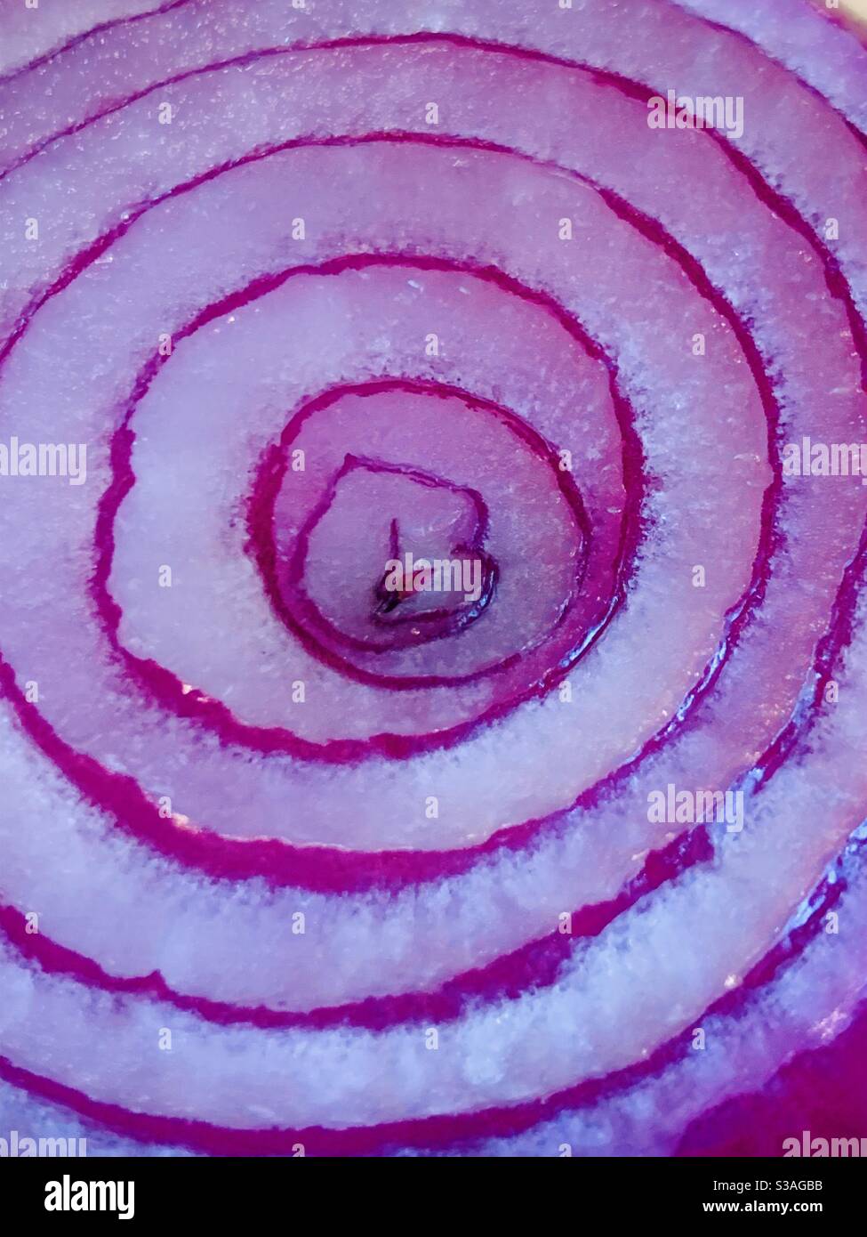 The purple onion hi-res stock photography and images - Alamy