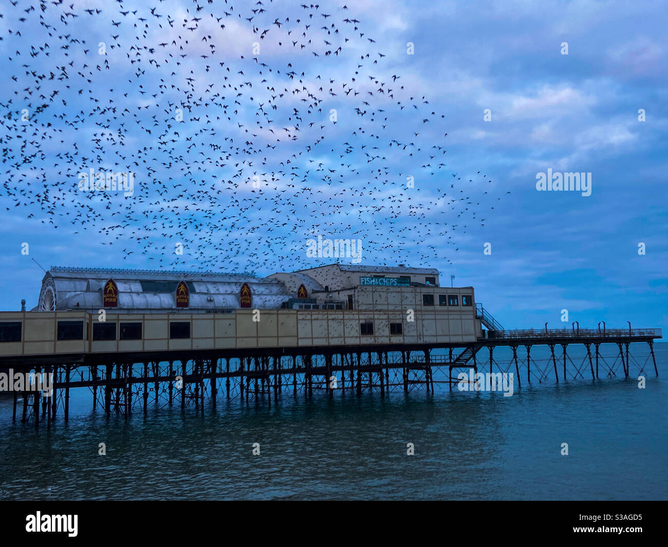 The royal pier aberystwyth hi-res stock photography and images - Alamy
