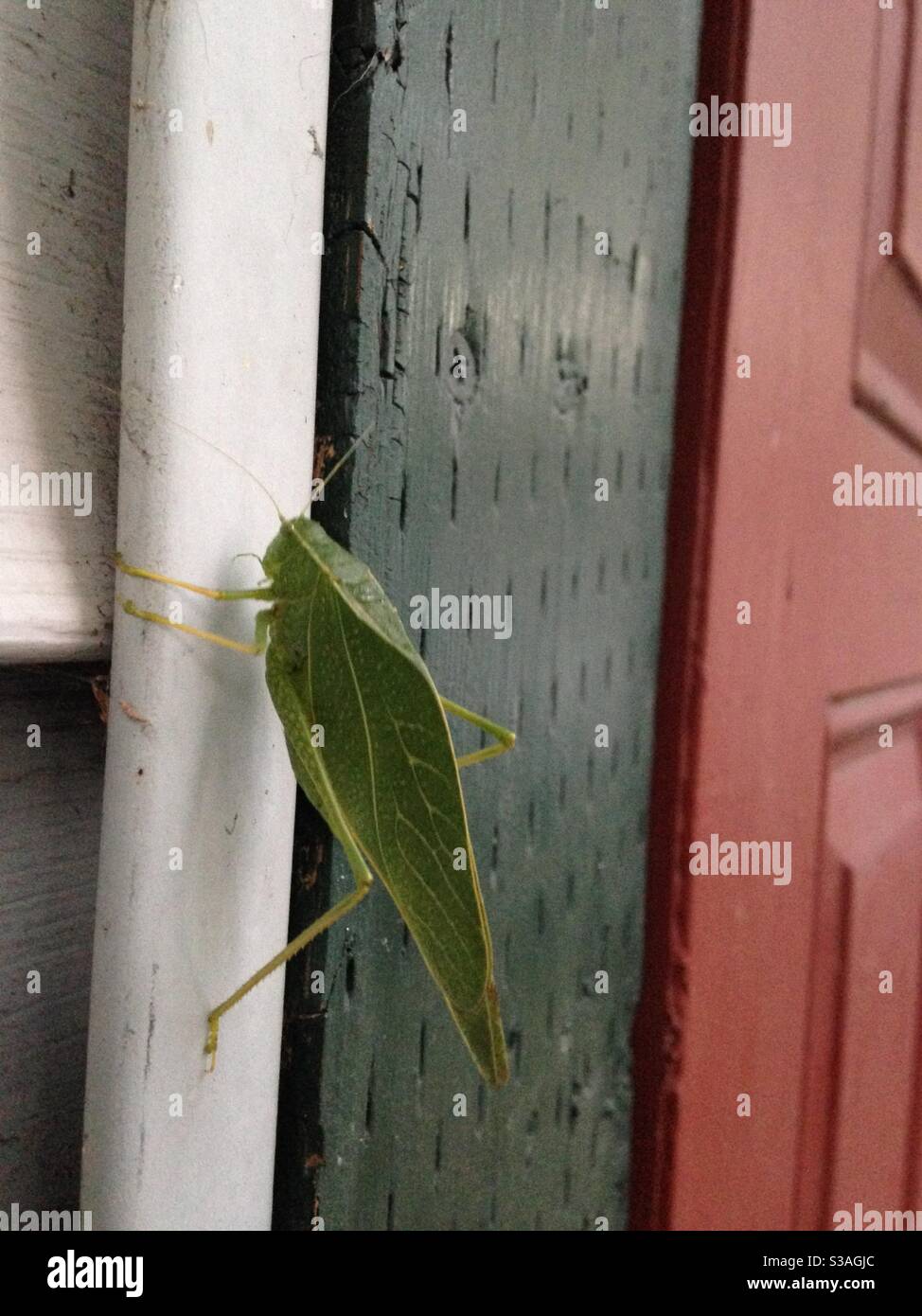 Side of garage hi-res stock photography and images - Alamy