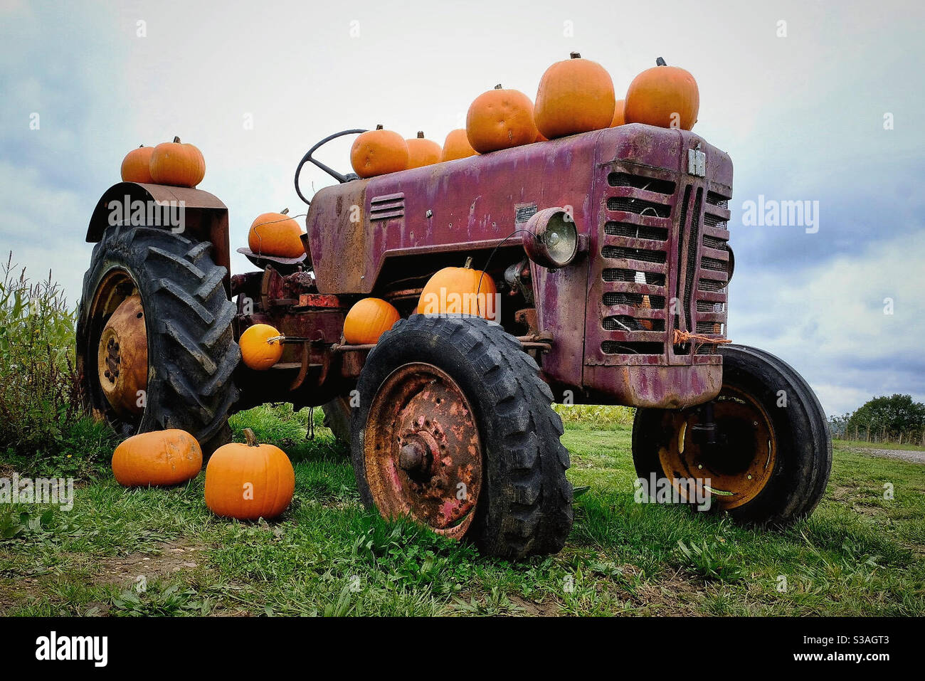 Tractor pumpkins hi-res stock photography and images - Alamy