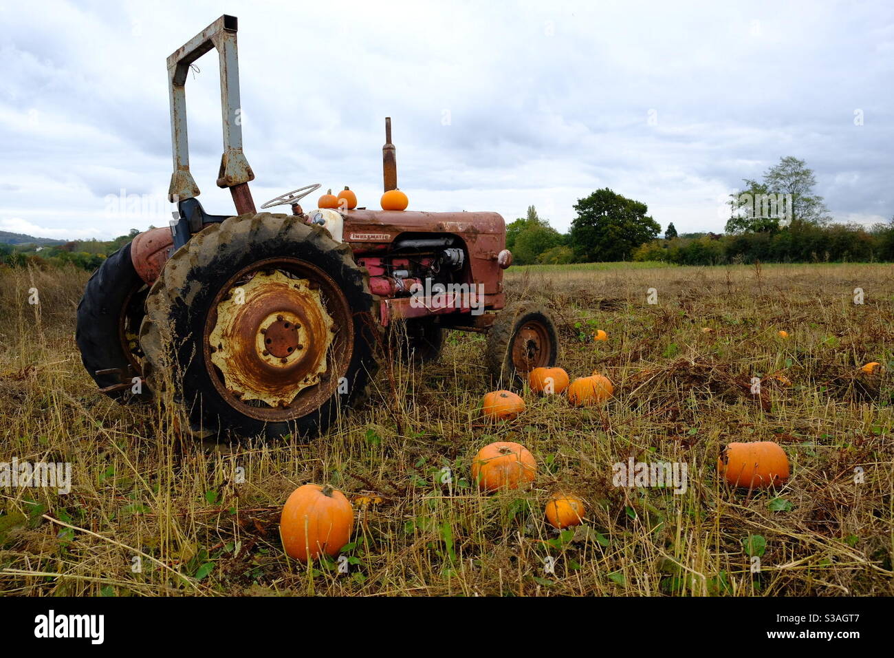 Tractor in a pumpkin field hi-res stock photography and images - Alamy