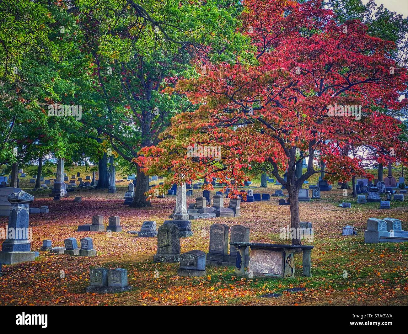Colorful Cemetery High Resolution Stock Photography and Images - Alamy