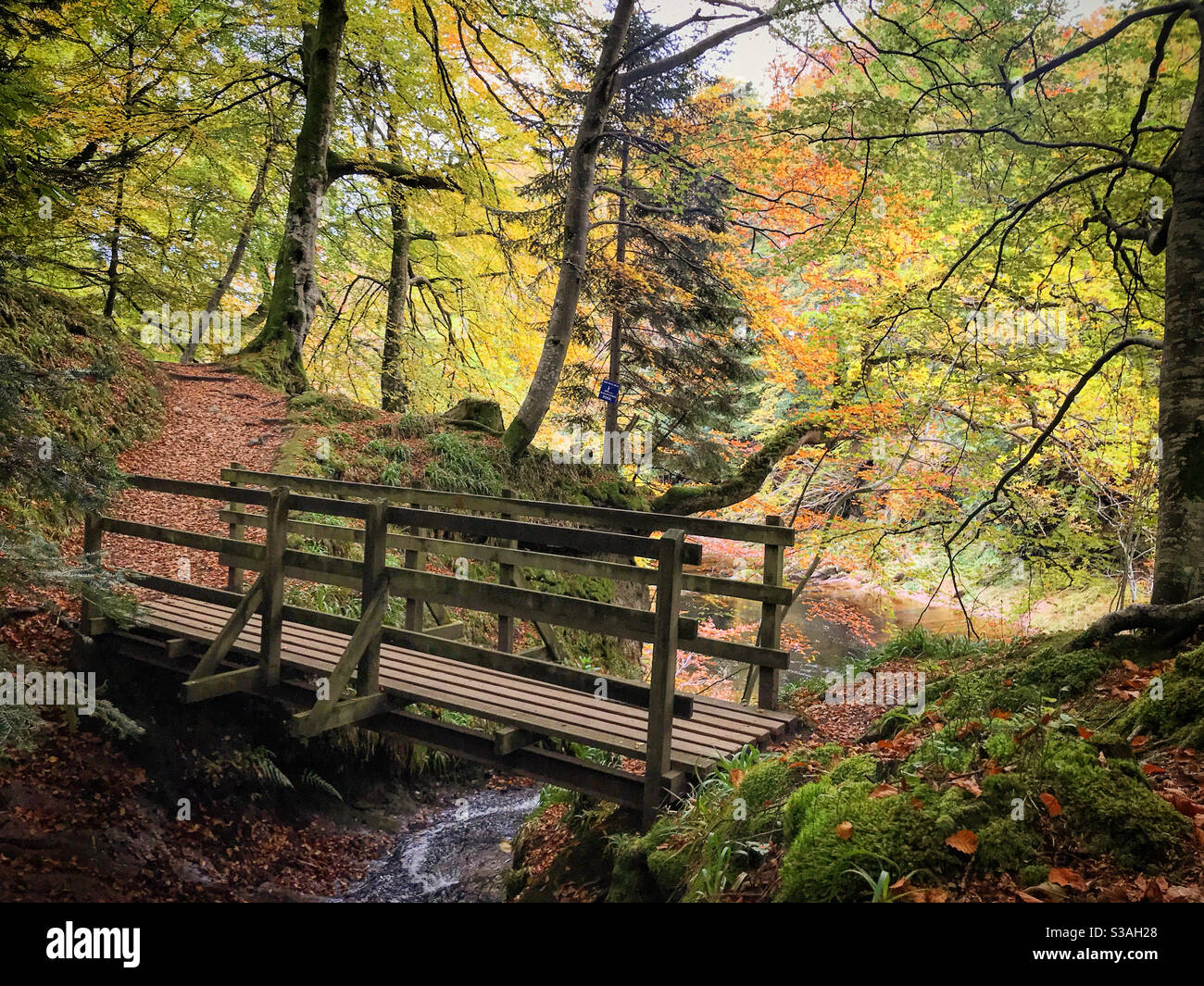 Wooden bridge over small stream Stock Photo - Alamy