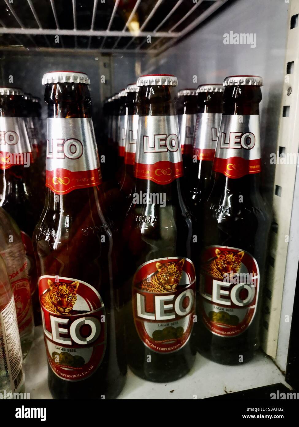 Leo beer hi-res stock photography and images - Alamy