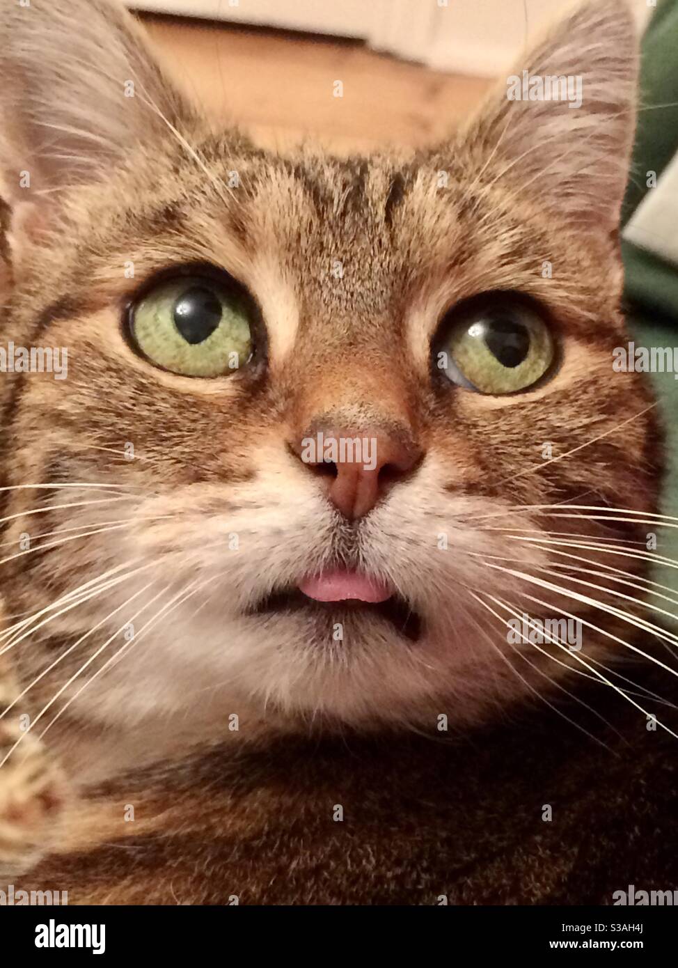 Poking out tongue hi-res stock photography and images - Alamy