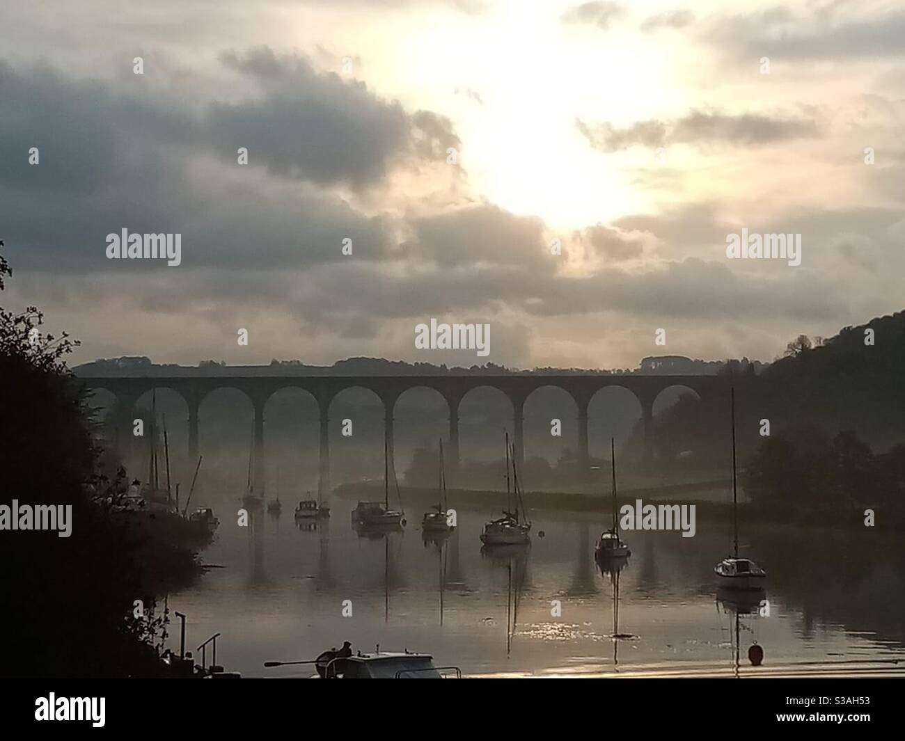 Calstock viaduct river tamar hi-res stock photography and images - Alamy
