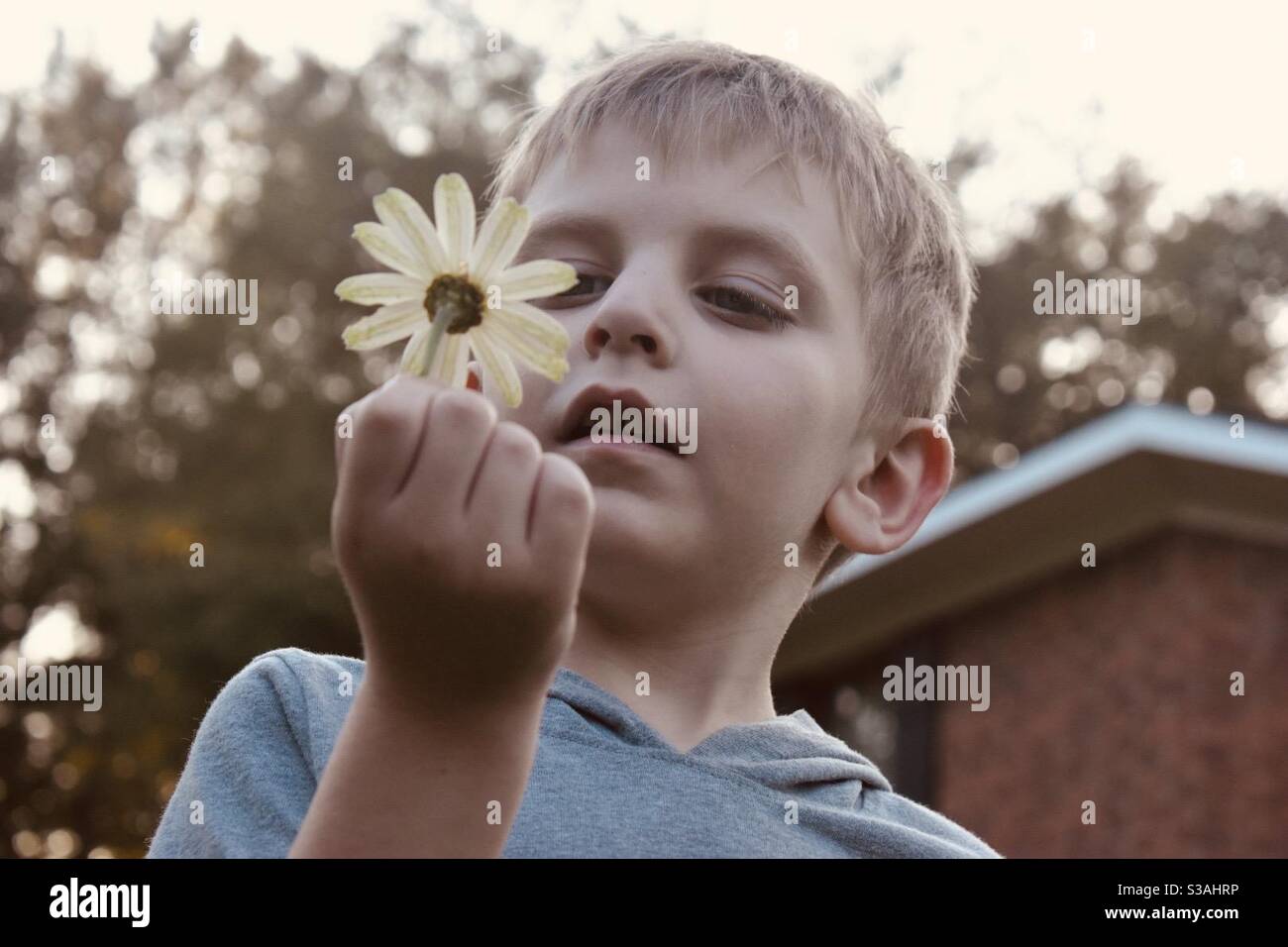 Boy and flower hi-res stock photography and images - Alamy