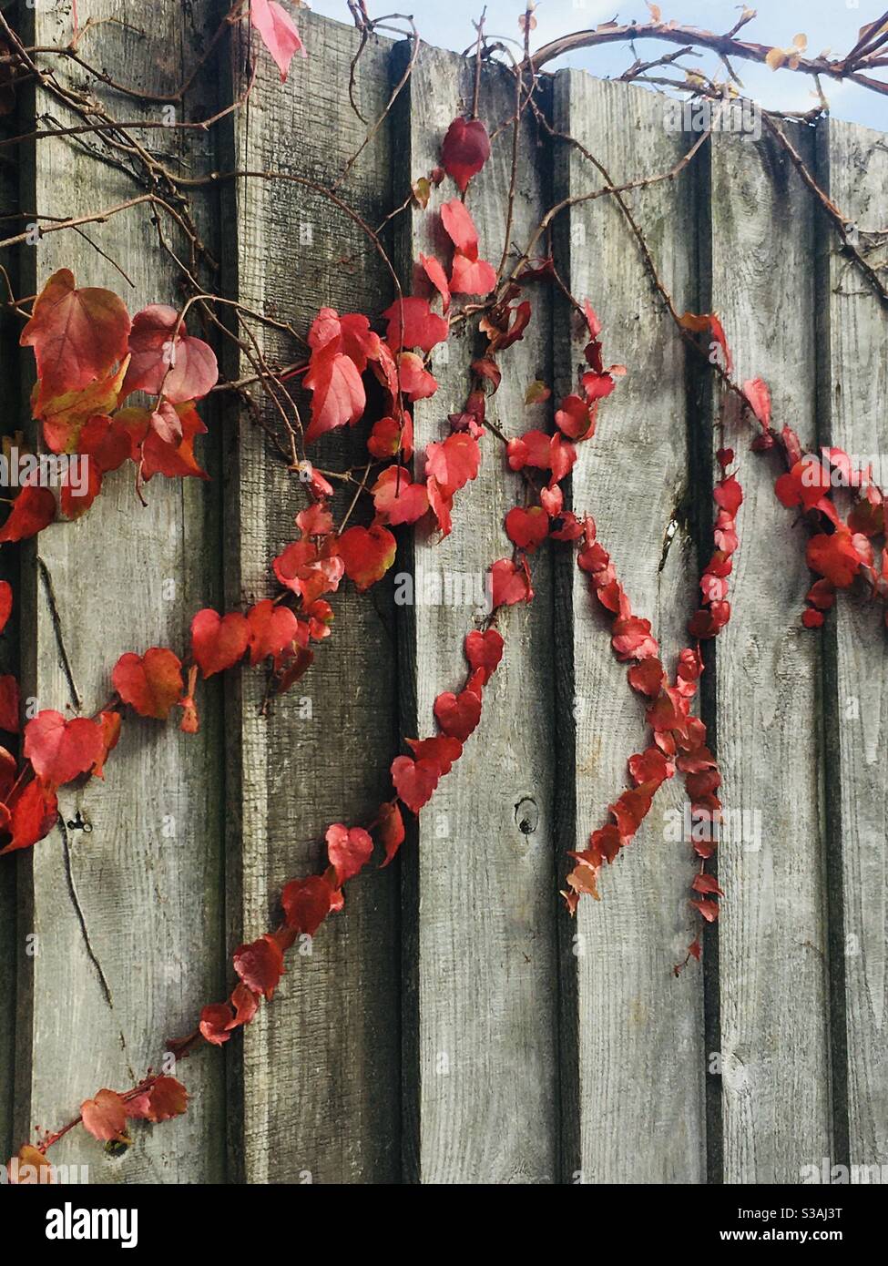 Climbing over fence hi-res stock photography and images - Alamy
