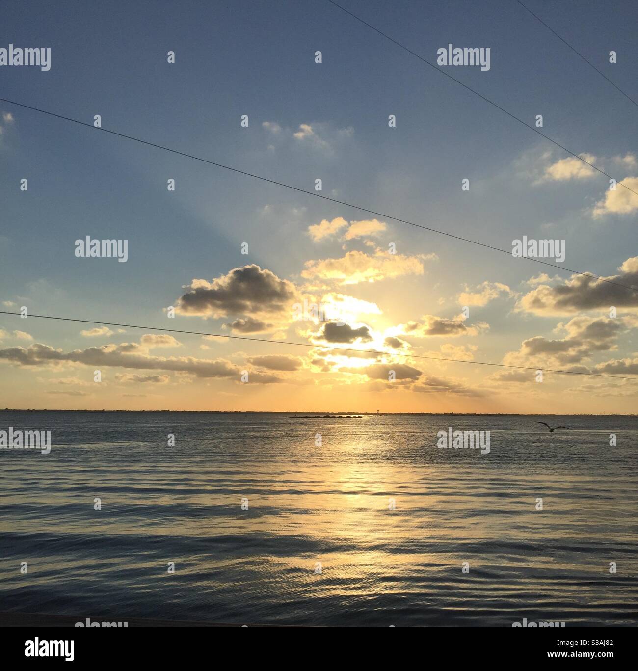 Corpus christi texas hi-res stock photography and images - Alamy